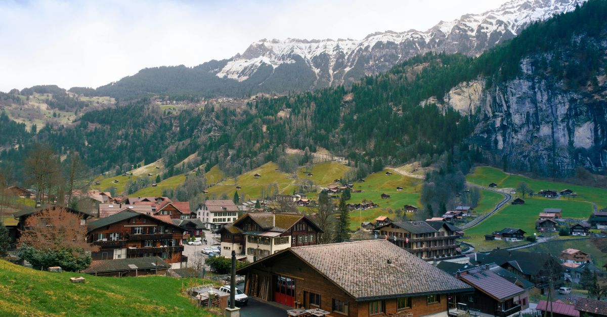 שלוות נפש ורוגע: כך משפיעה סביבה ירוקה על מצב הרוח והבריאות שלנו ...